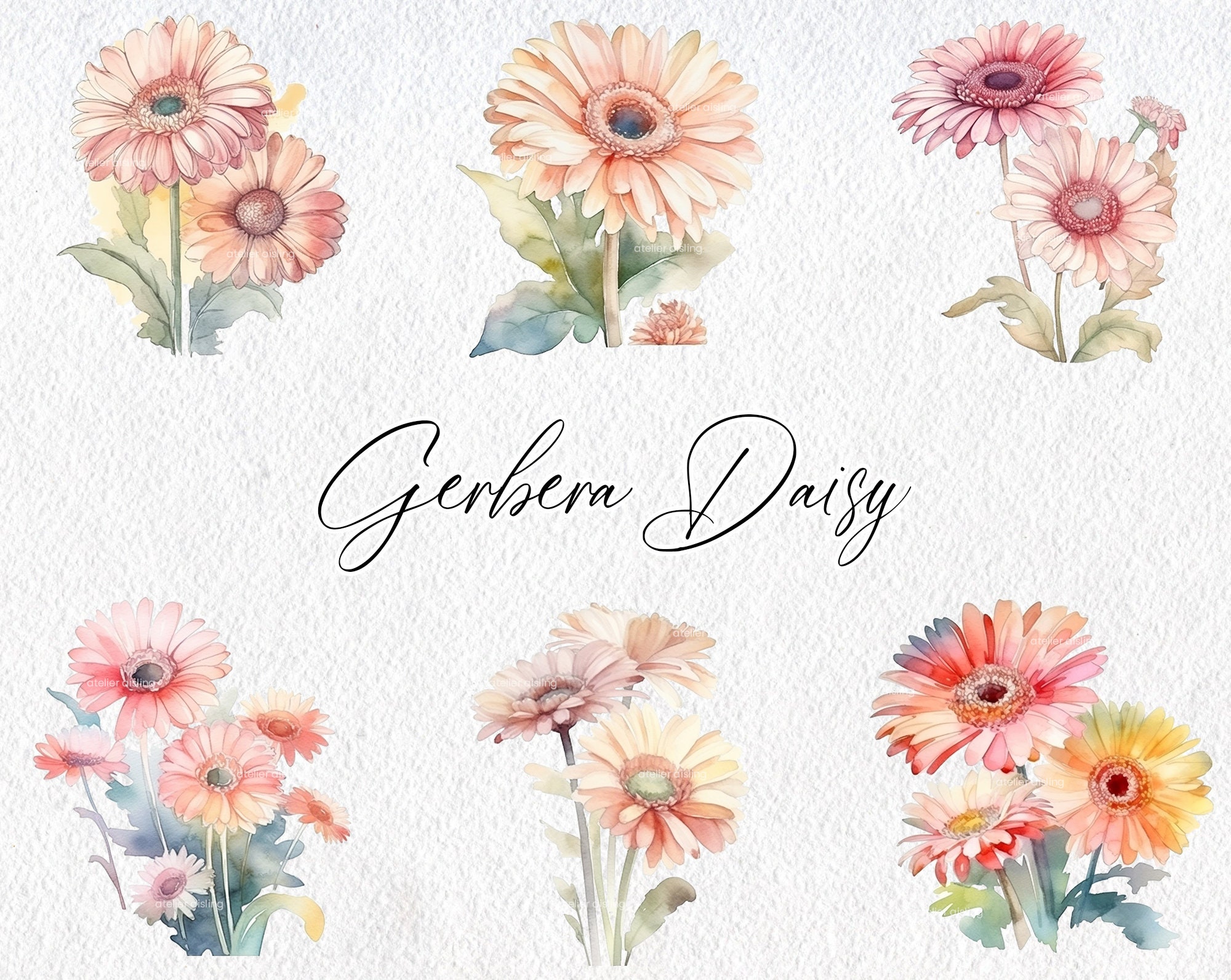 Cute Watercolor Gerberas Daisy Scenes, Commercial Use Clipart, Flower ...