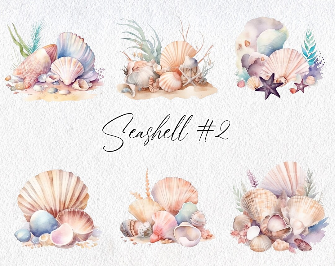 Cute Watercolor Seashells Scenes, Volume 2, Commercial Use Clipart ...