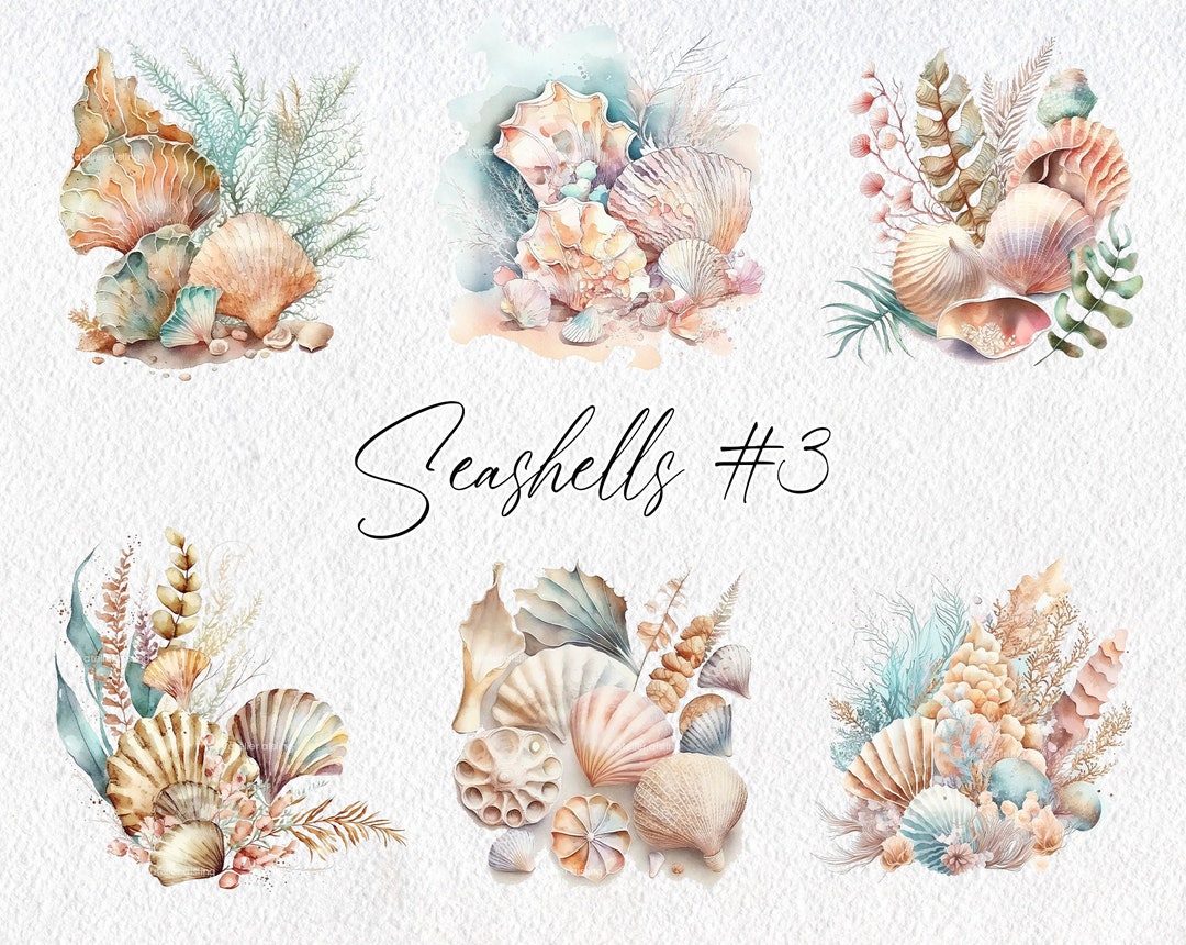 Cute Watercolor Seashell Scenes, Volume 3, Commercial Use Clipart ...