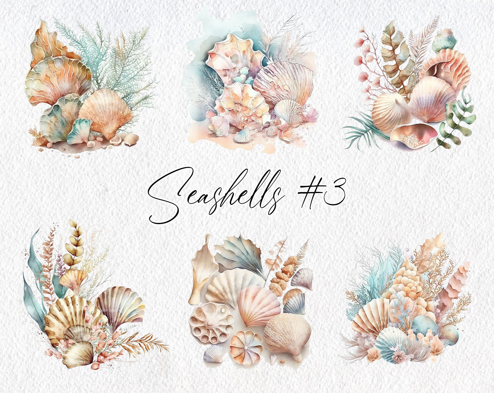 Cute Watercolor Seashell Scenes Volume 3 Commercial Use - Etsy