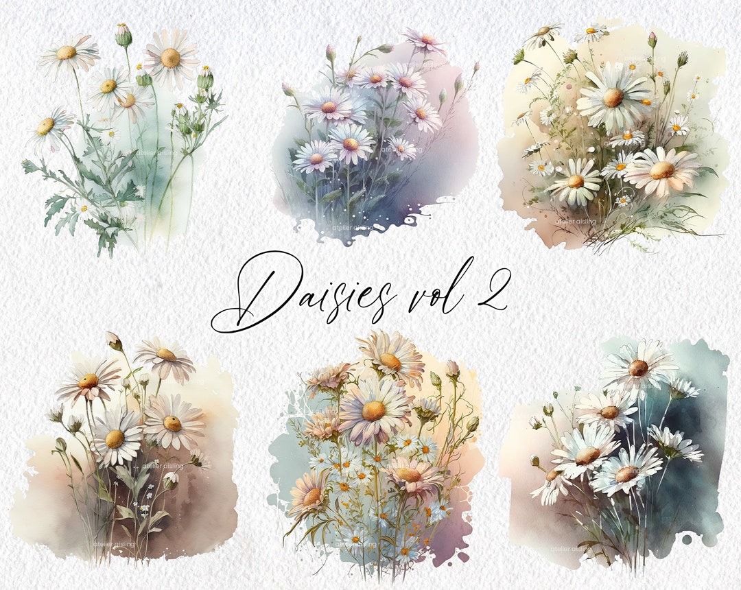 Cute Watercolor Daisies Scenes, Volume 2, Commercial Use Clipart ...