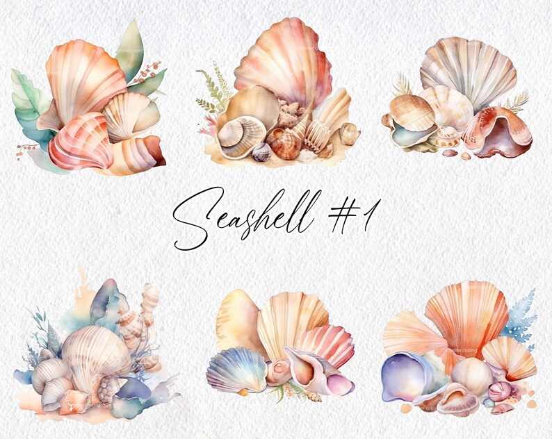 Cute Watercolor Seashells Scenes Volume 1 Commercial Use - Etsy