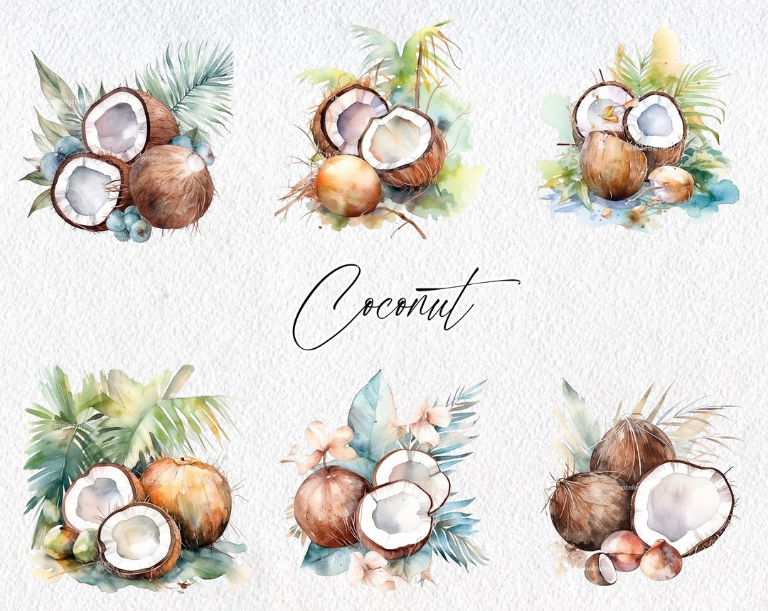Cute Watercolor Coconut Scenes, Commercial Use Clipart, Fruit Clipart ...