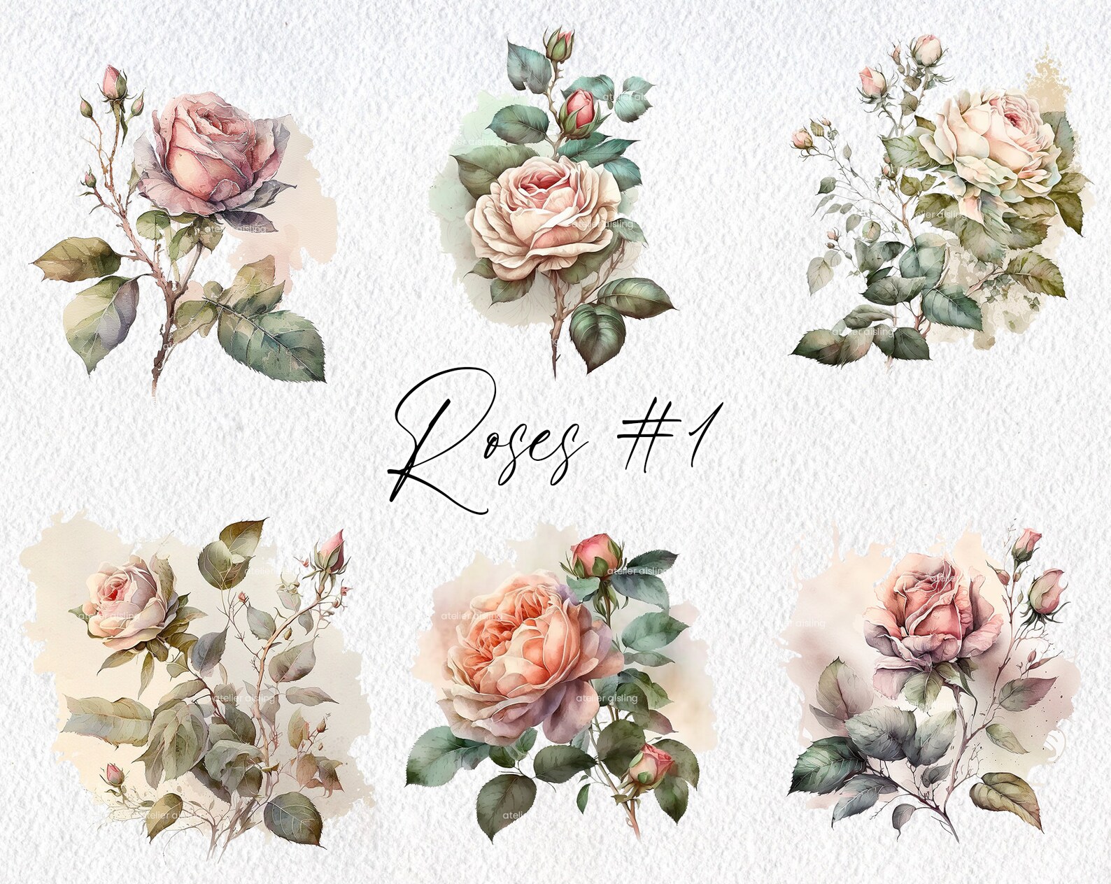 Cute Watercolor Roses Scenes Volume 1 Commercial Use - Etsy