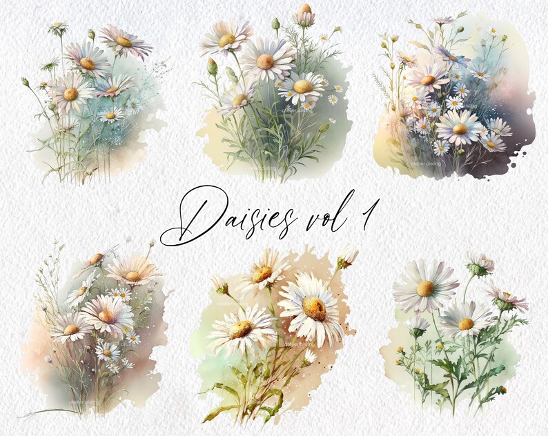 Cute Watercolor Daisies Scenes, Volume 1, Commercial Use Clipart ...