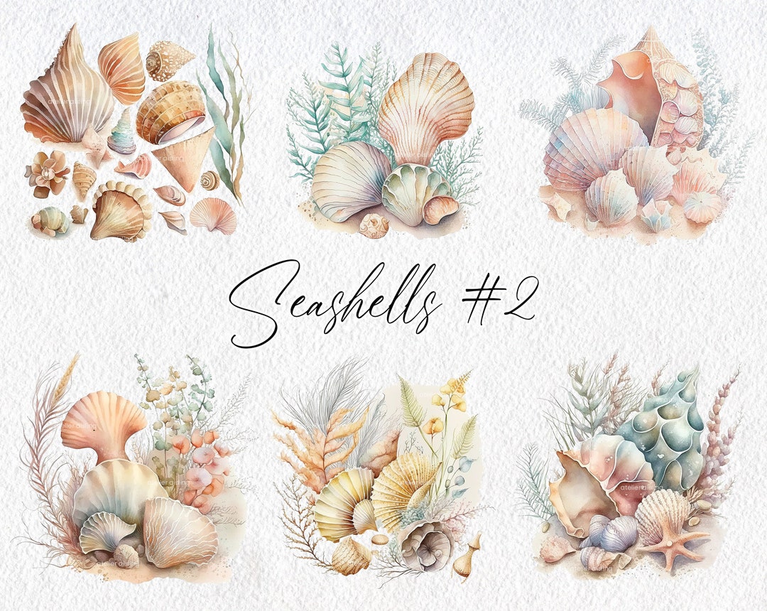 Cute Watercolor Seashell Scenes, Volume 2, Commercial Use Clipart ...