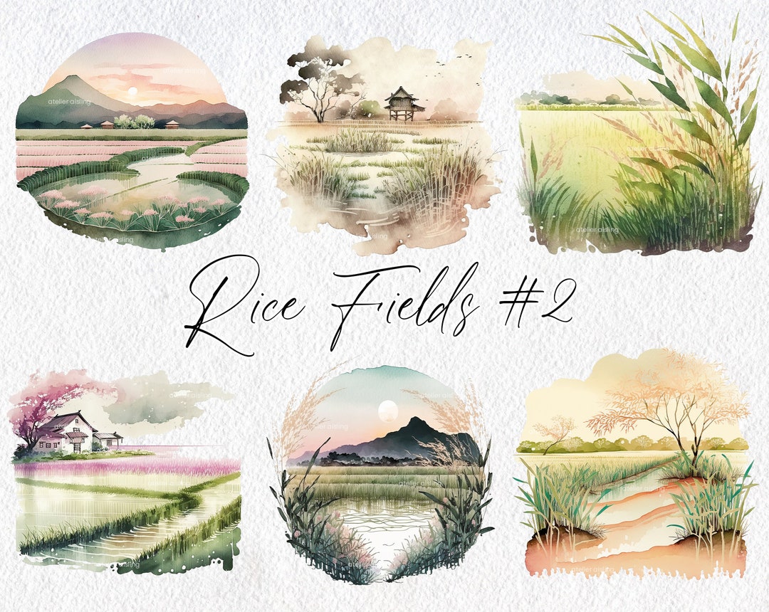 Cute Watercolor Rice Field Scenes, Volume 2, Commercial Use Clipart ...
