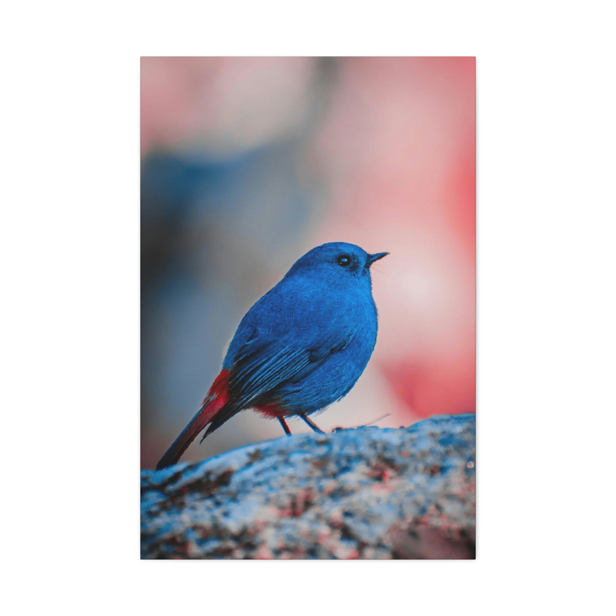 Blue Bird Beautiful Nature Rock Poster Canvas Decoration - Etsy