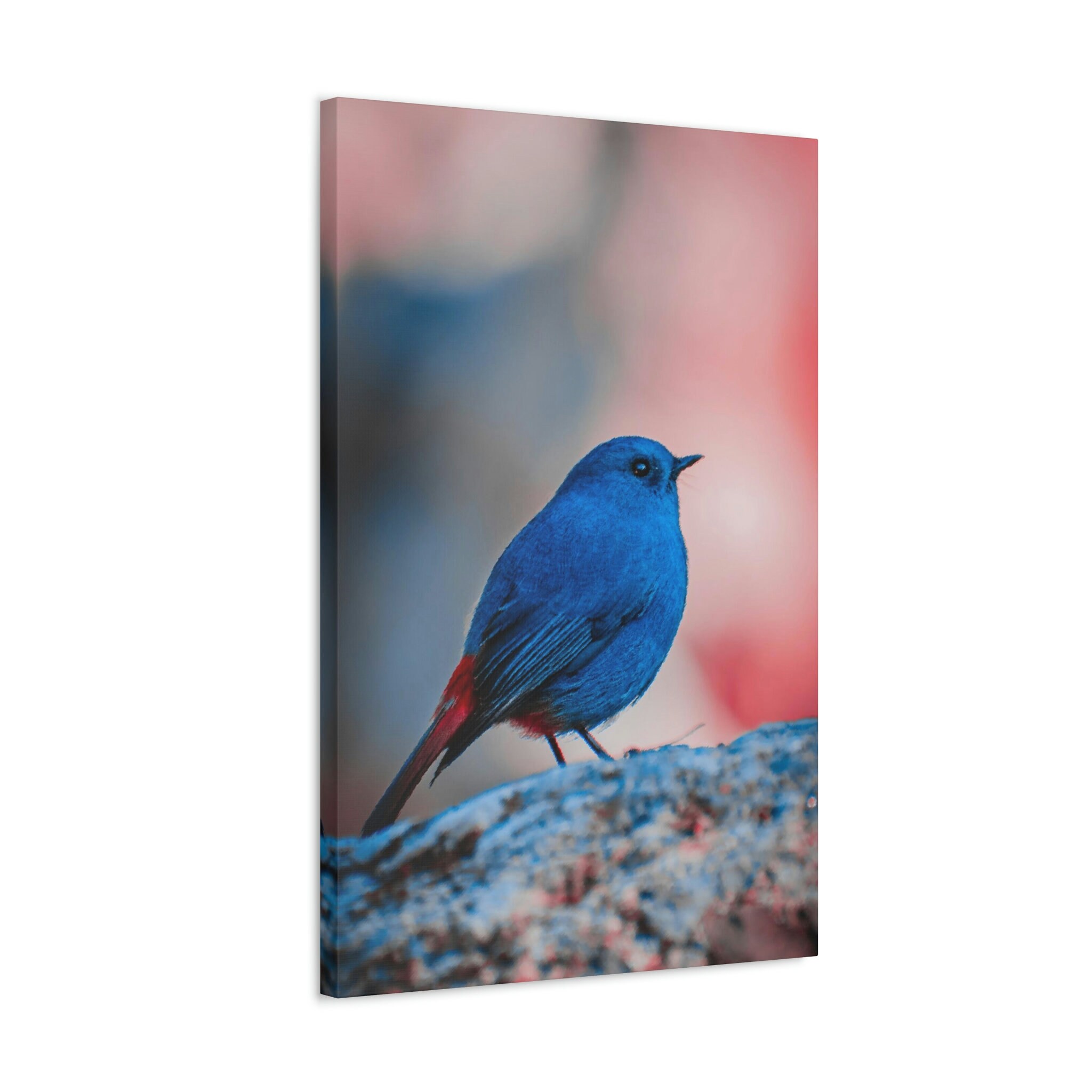 Blue Bird Beautiful Nature Rock Poster Canvas Decoration - Etsy