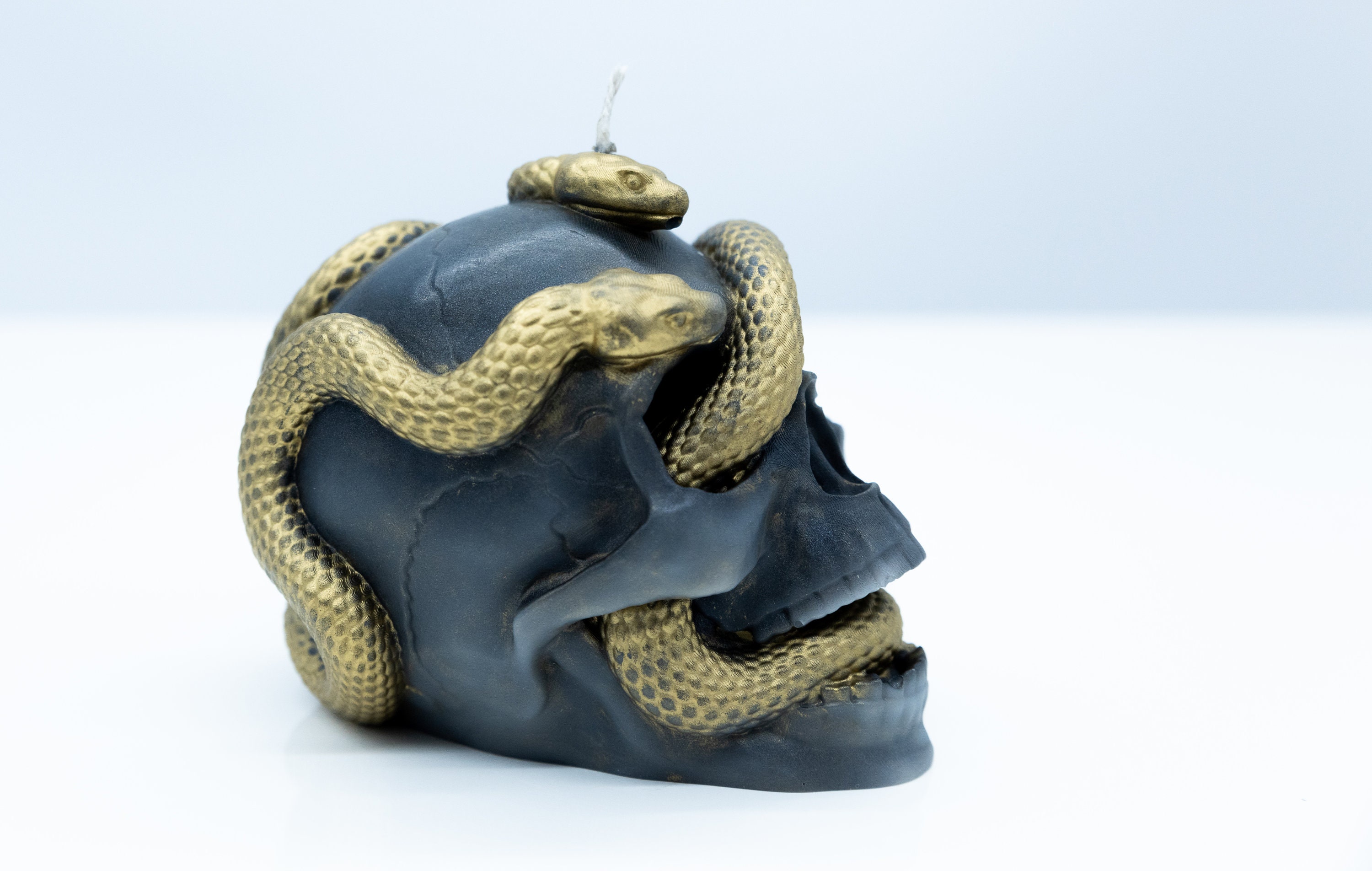 Skull and Snake Candle/ Black Candle/ Halloween Candle/gothic Candle - Etsy