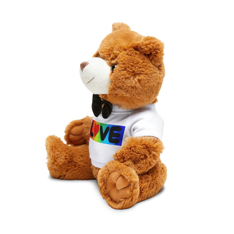 Rainbow Love Teddy Bear Etsy