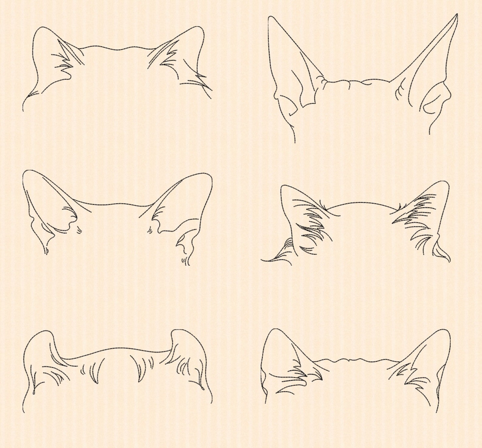 25 Cat Ears Embroidery Design Labeled by Breed, Animal Embroidery ...