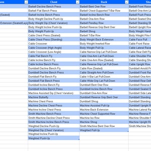 Fitness Planner Excel Template | Fitness Workout Planner | Excel ...
