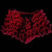 Ruffle Shorts - Etsy