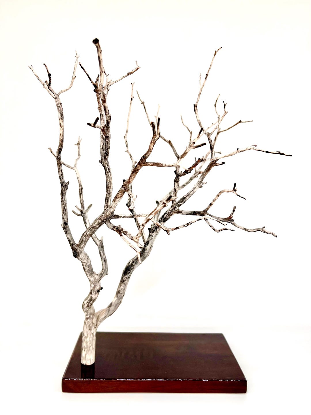 Jewelry Tree, Real, Tree, Branch, Manzanita, Peruvian Walnut, Jewelry ...