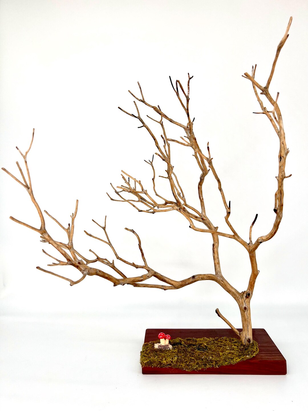 Jewelry Tree, Real, Tree, Branch, Manzanita, Paduk, Fairy, Mushroom ...