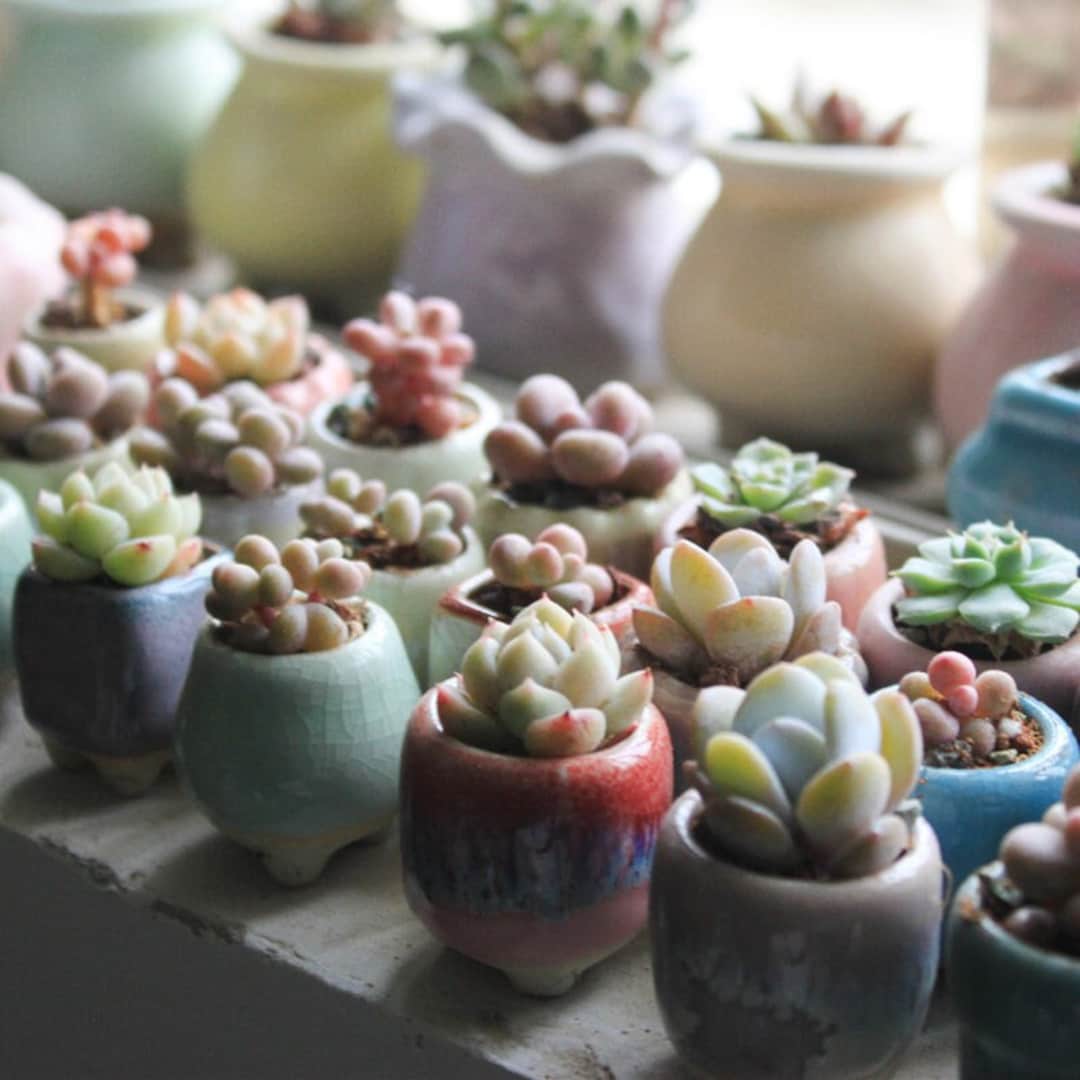 Handmade Small Plant Pots,succulent Planter, Tiny Ceramic Planter ...