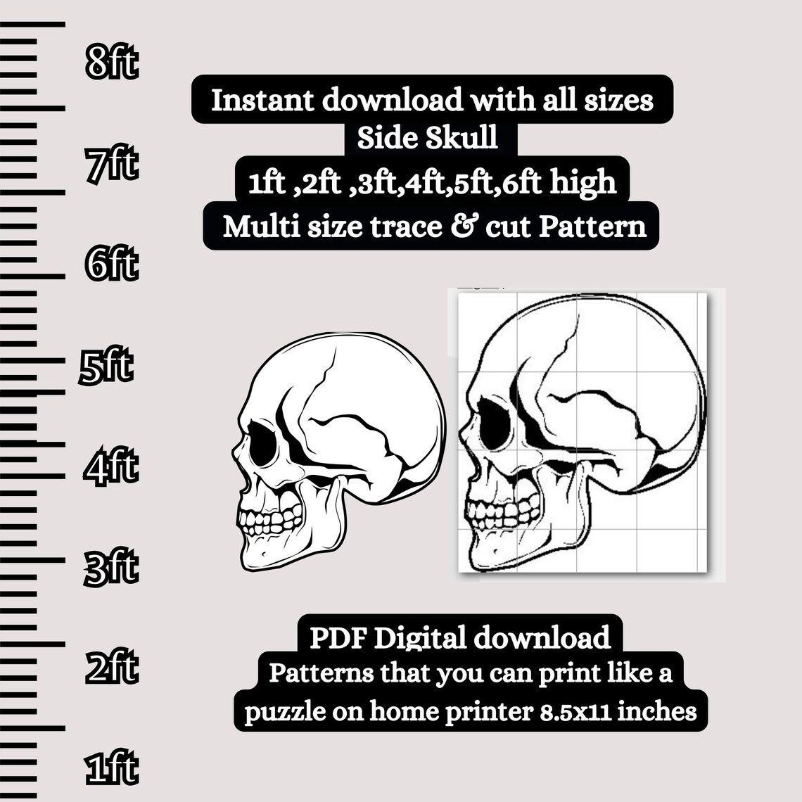 Skull Side Profile Template Silhouette Décor Printable Trace and Cut ...