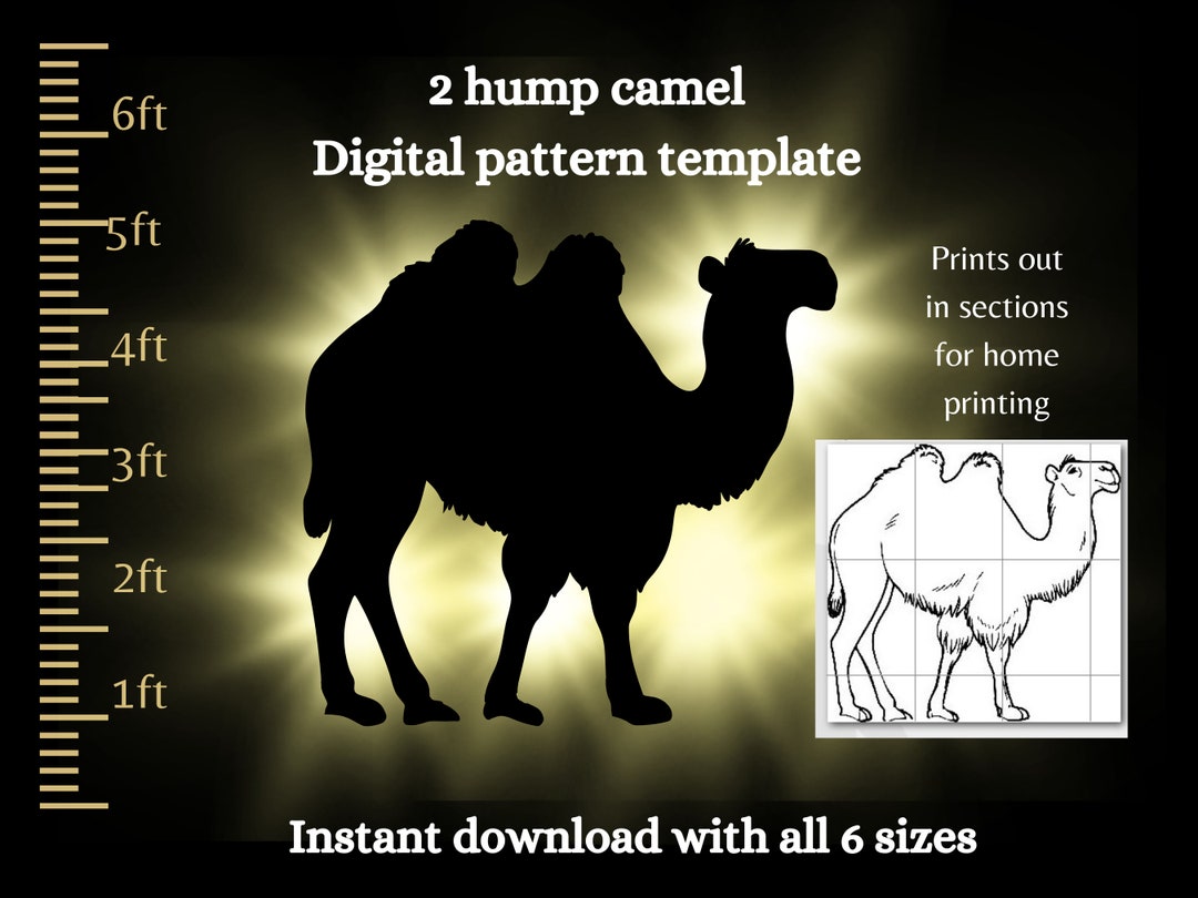 1ft to 6ft Camel Stencil Pattern, Pdf Trace and Cut Template, 6 Sizes ...