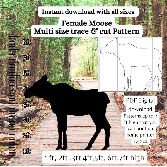 Female Moose Silhouette