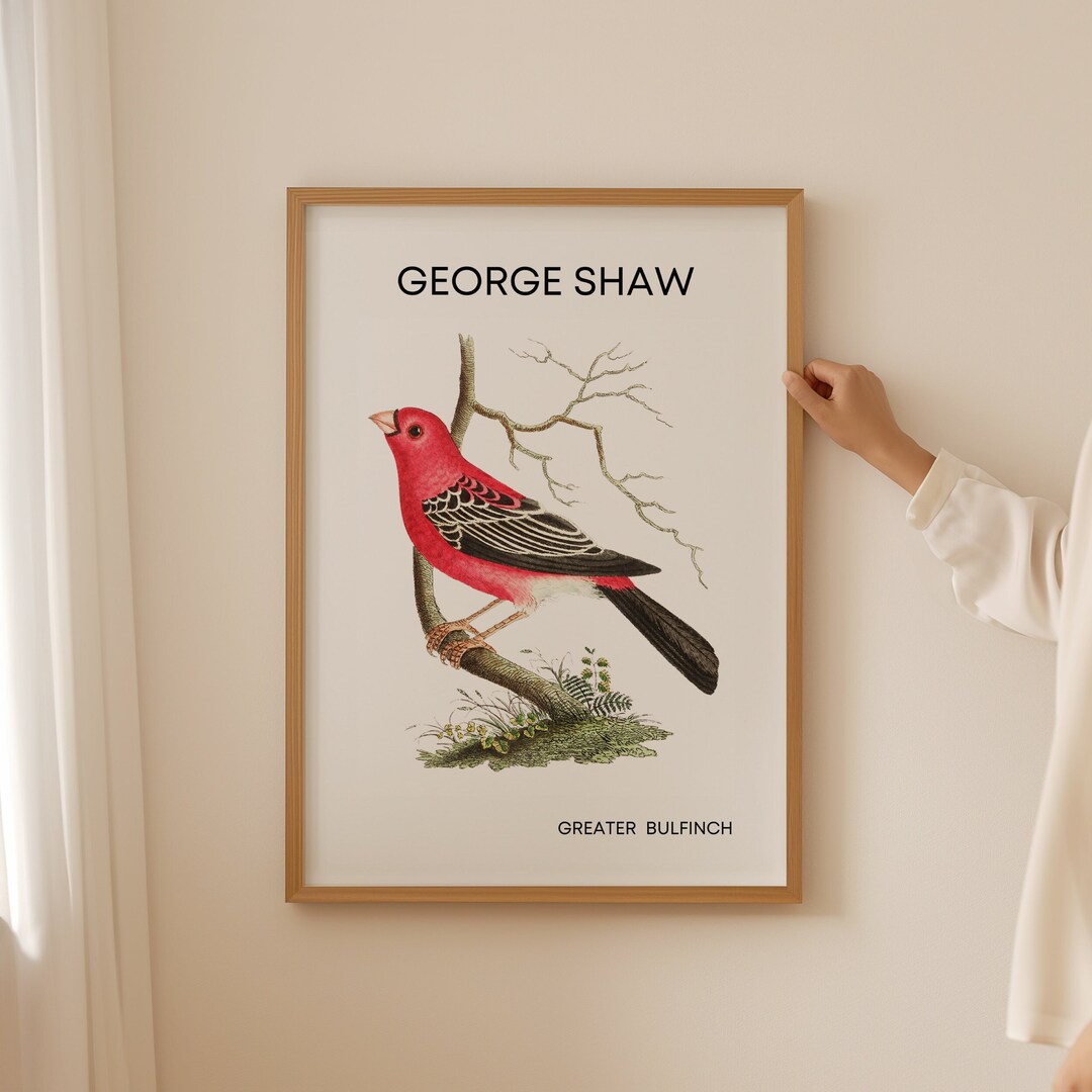 Bullfinch Wall Art, George Shaw Print, Farm House Decor, Gallery Wall ...