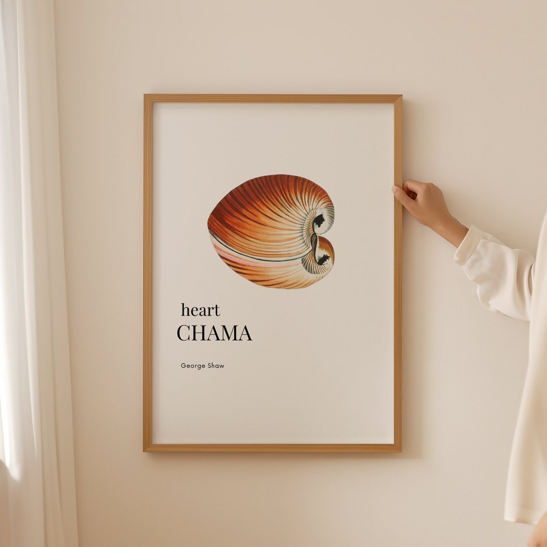Sea Shell Print, Sea Shell Art, Aesthetic Wall Art, Sea Shell ...