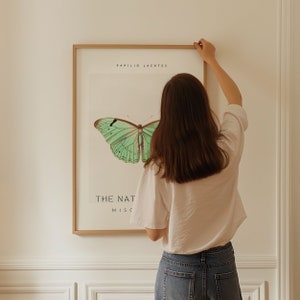 The Naturalists Miscellany Art Print, Papilio Laertes Butterfy, Girly ...