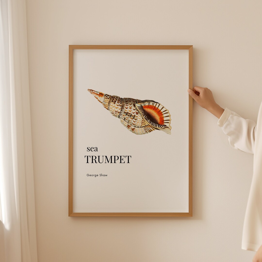 Trumpet Sea Shell Poster, Nautical Wall Art, Minimalist Home Decor ...