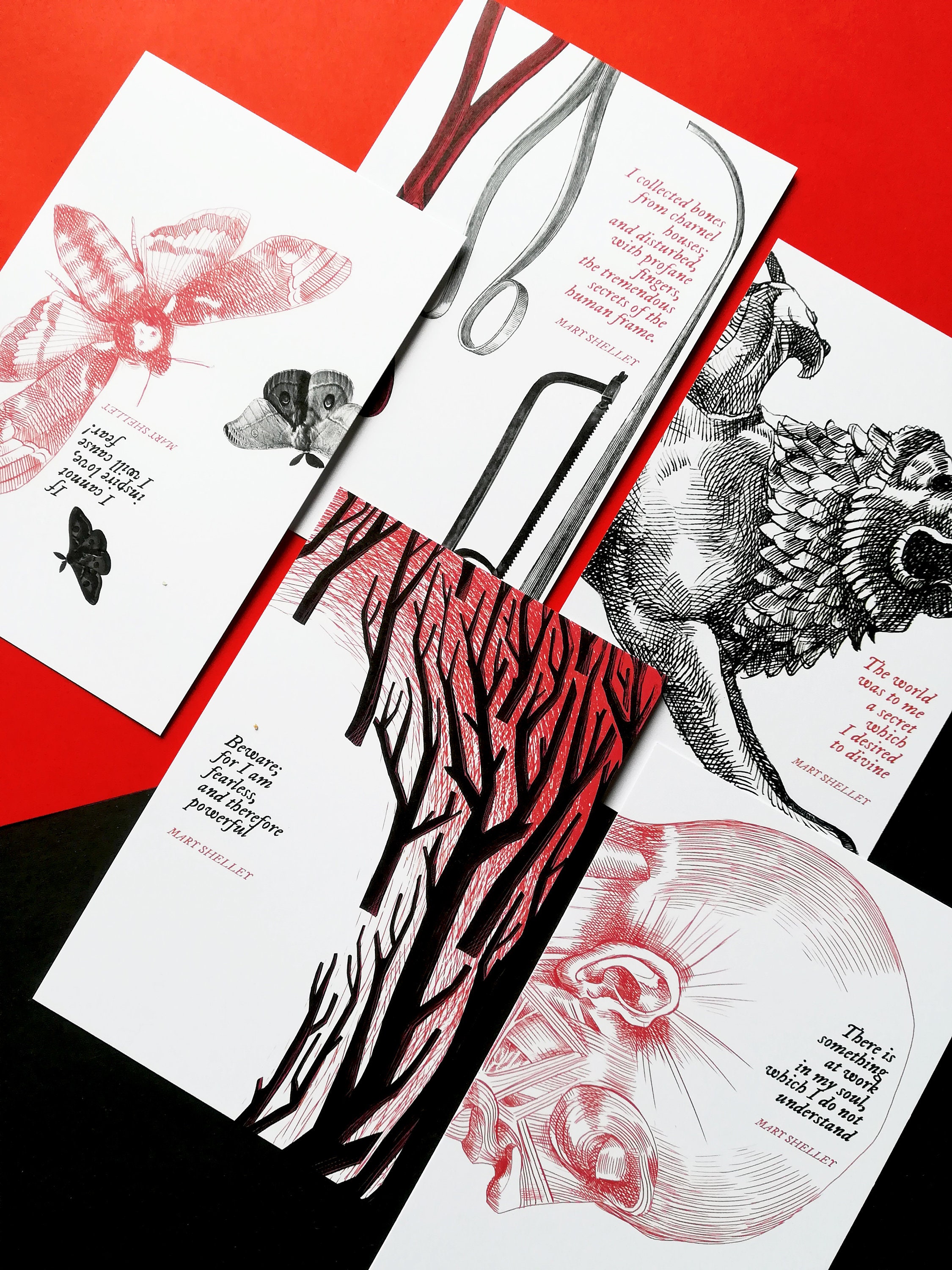 Frankenstein Postcards, Illustrations and Quotes From the Mary Shelley ...