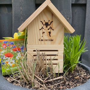 Insect Package - Ladybug House, Bee House or Butterfly House - Etsy