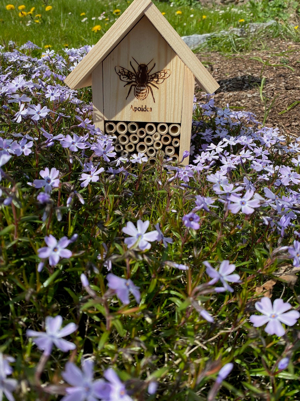 Insect Package - Ladybug House, Bee House or Butterfly House - Etsy