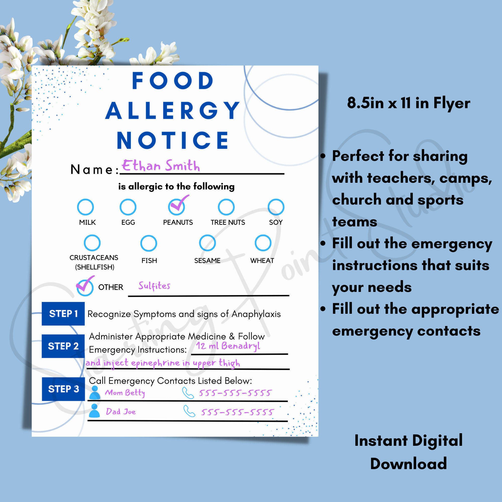 Printable Food Allergy Notice alert for School, Camps, Church ...