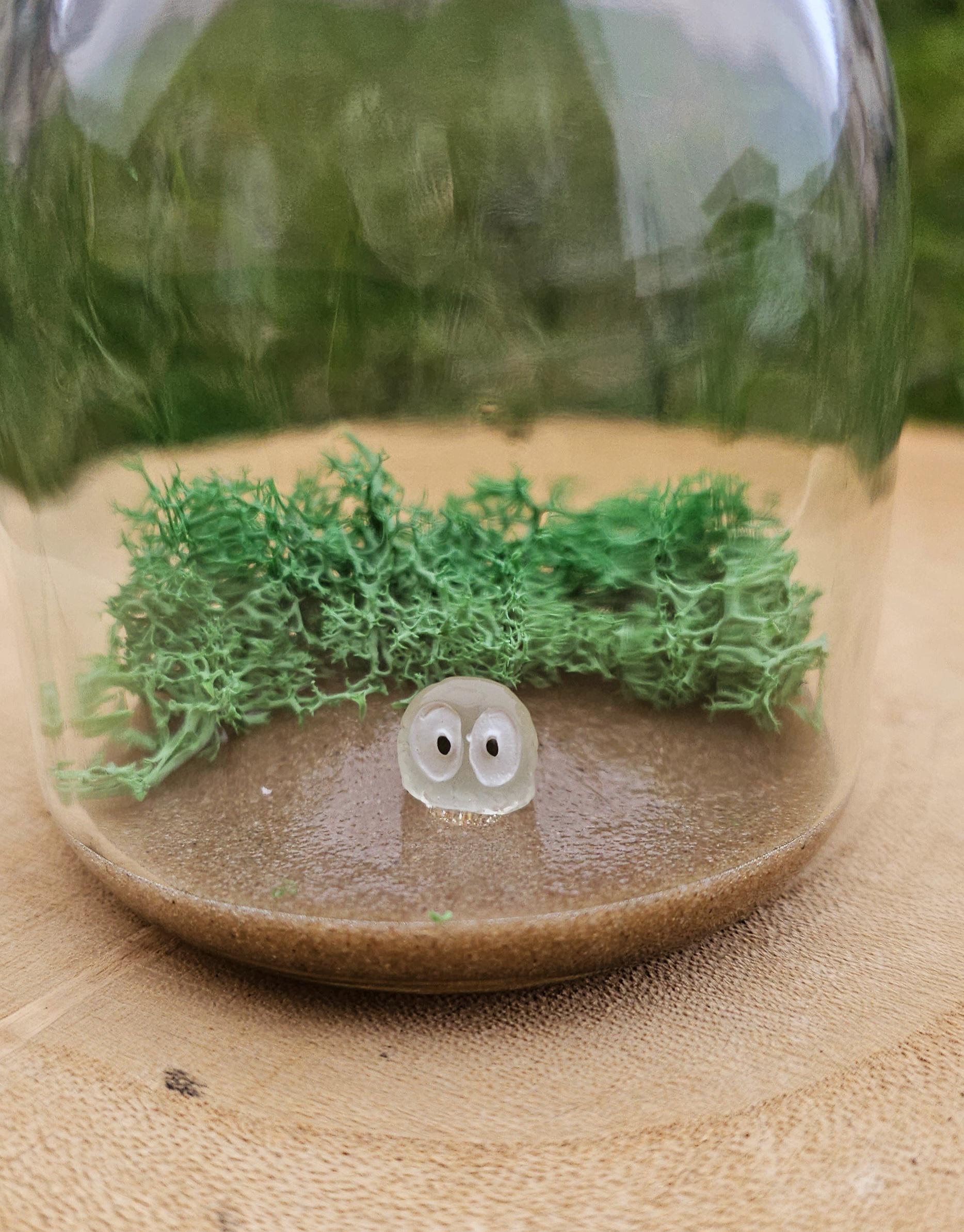 Adopt a Sprite, Glow-in-the-dark Soot Sprites Jar, Cute Gift, Invisible ...