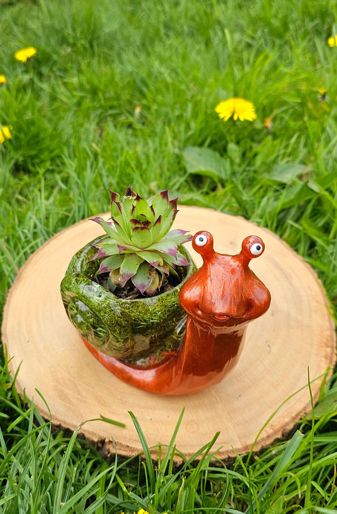 Resin Snail and Moss Planter, Snail Plant Pot, Handmade Flower Holder ...