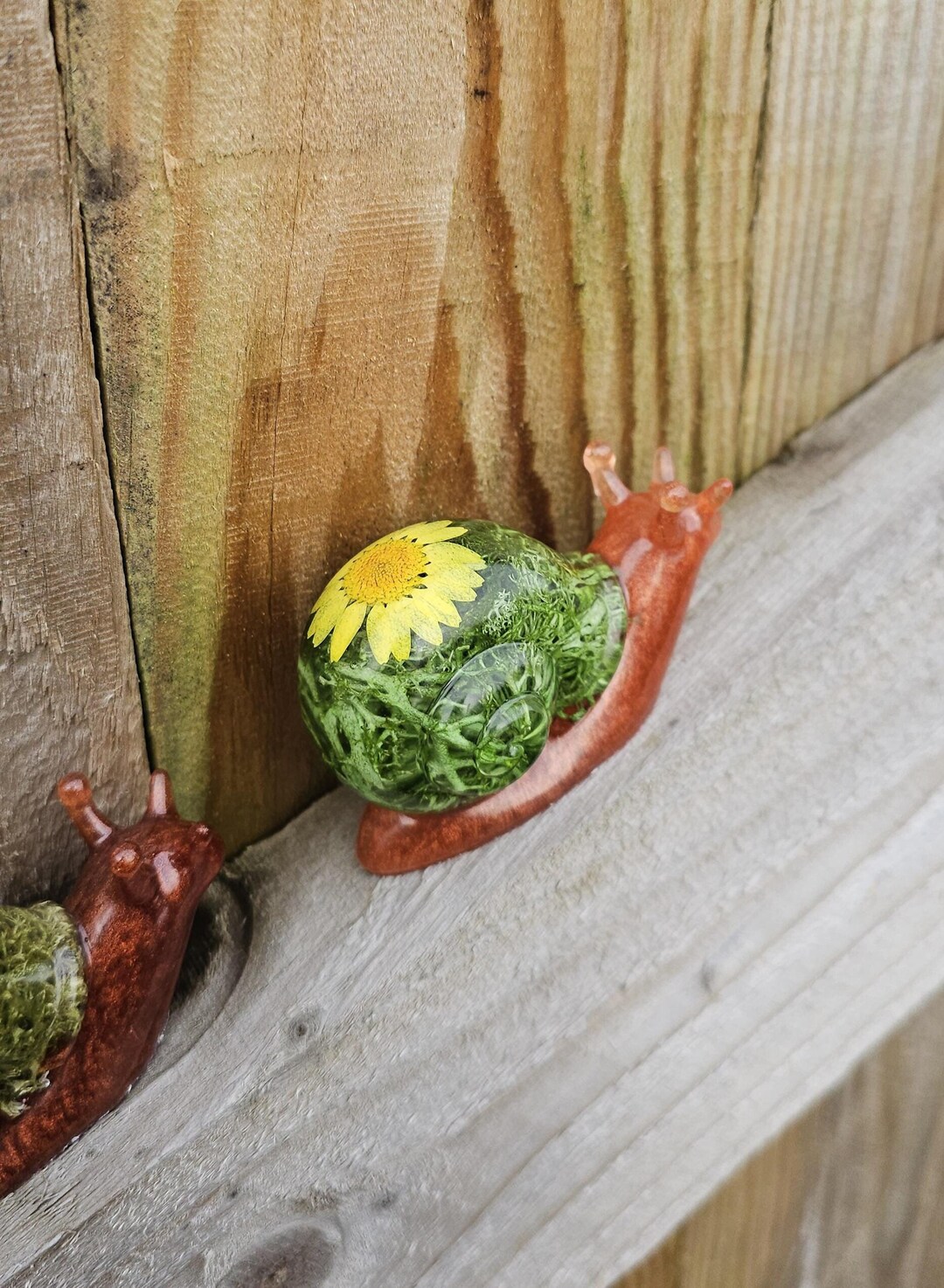 Adorable Snail With Yellow Daisy, Nature-inspired Gift, Home Décor Gift ...