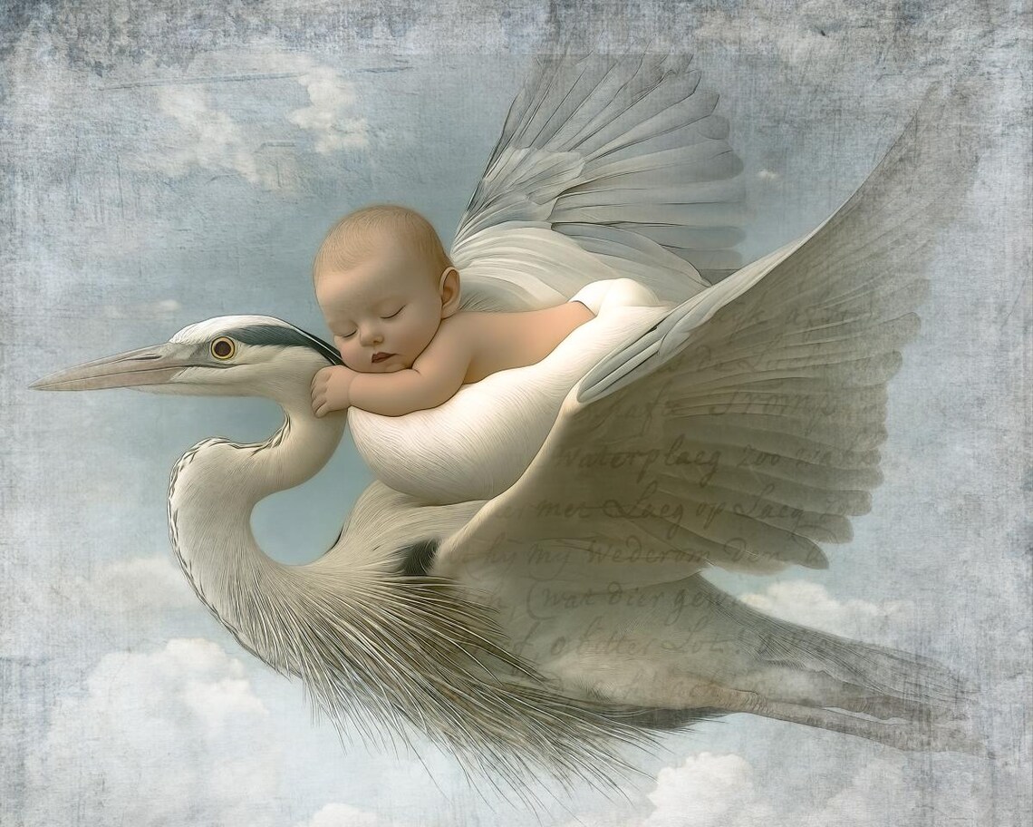 Signed Giclee Art Print: Baby Riding Heron - Nursery Decor - Etsy