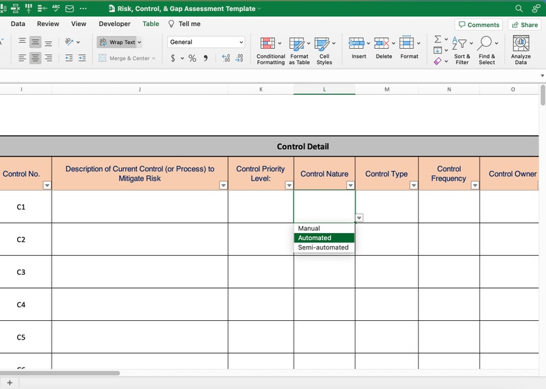 Ultimate Risk and Control Assessment Template | Excel & Google Sheets ...