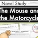 The Mouse and the Motorcycle Novel Study Unit | Literature Guide ...
