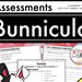Bunnicula Tests | Quizzes | Assessments - Printables for Homeschool or ...