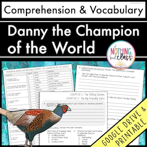 Danny the Champion of the World | Comprehension and Vocabulary by ...