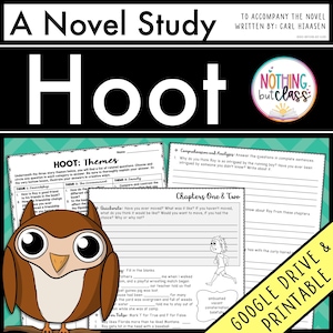 Hoot Novel Study Unit | Literature Guide | Comprehension Worksheets ...