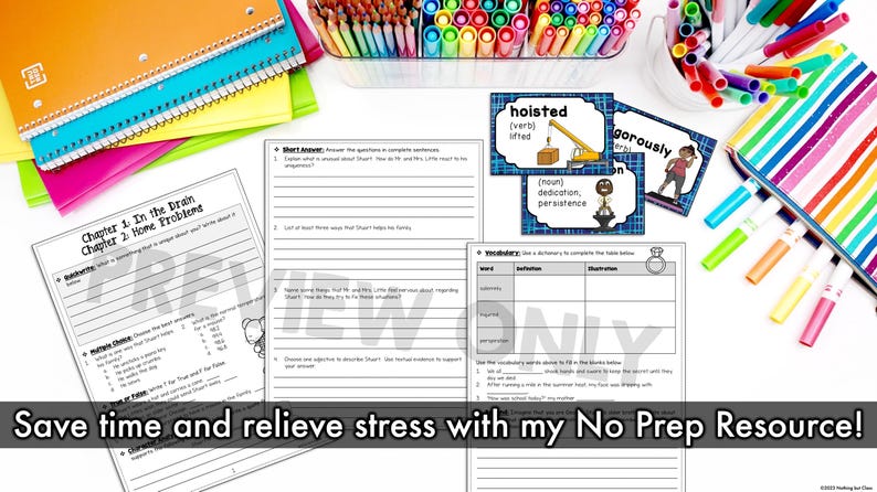 Stuart Little | Comprehension and Vocabulary by Chapter | Guided ...