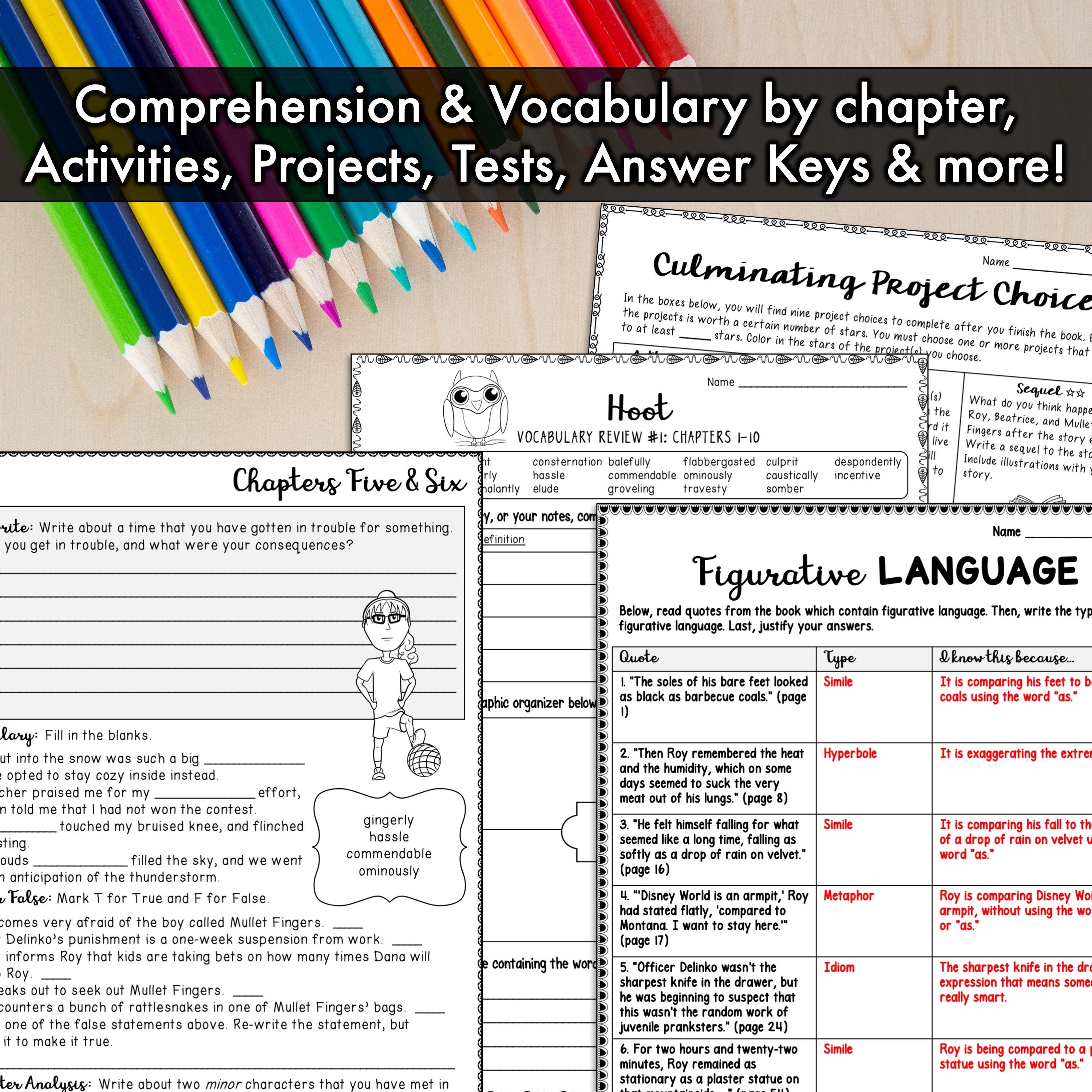 Hoot Novel Study Unit | Literature Guide | Comprehension Worksheets ...