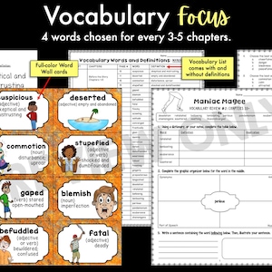 Maniac Magee | Comprehension and Vocabulary by Chapter | Guided Reading ...