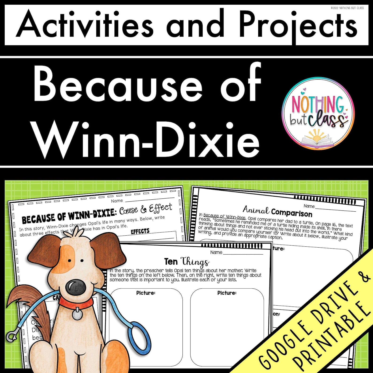 Because of Winn-dixie | Reading Response Activities and Projects ...