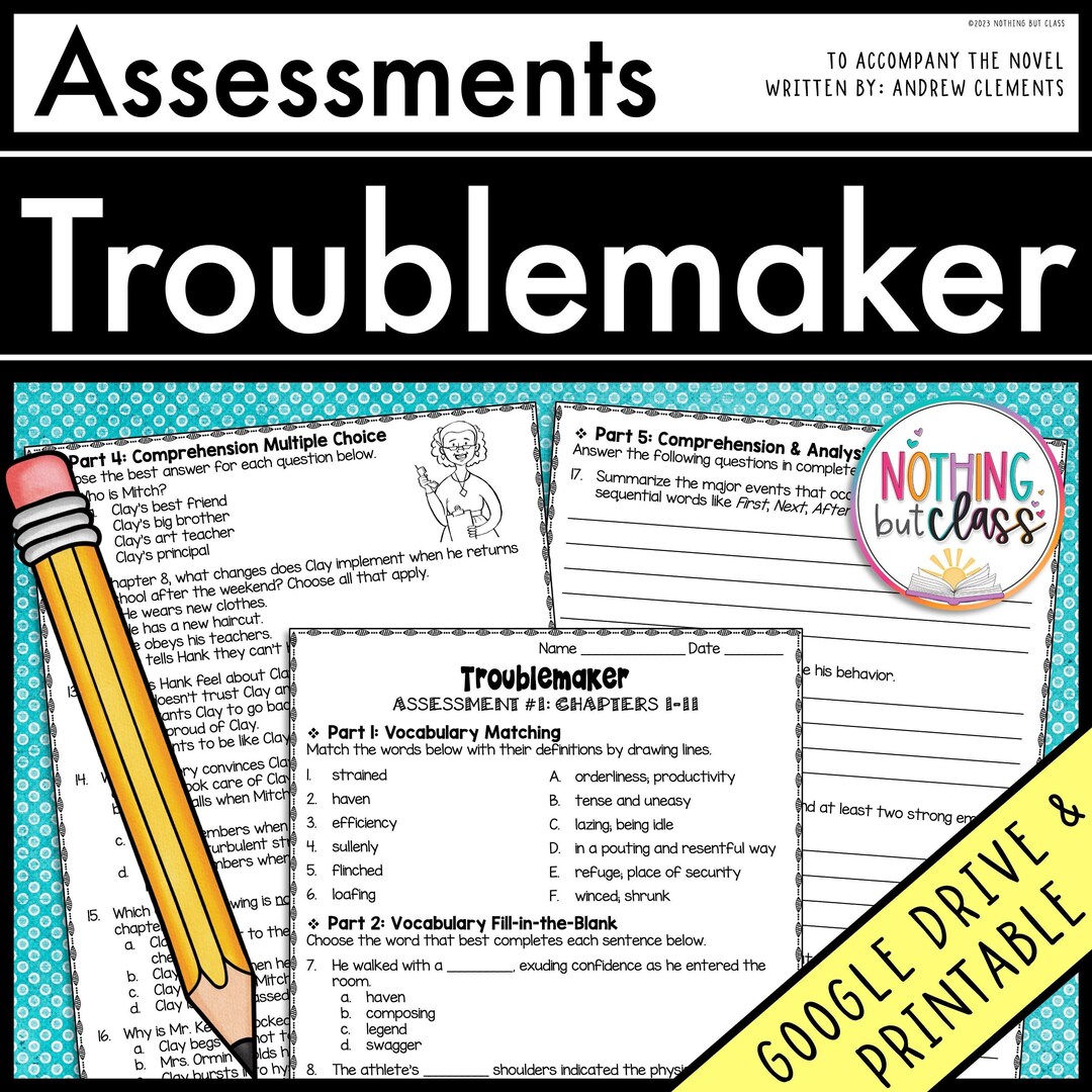 Troublemaker by Andrew Clements - Tests | Quizzes | Assessments - Etsy