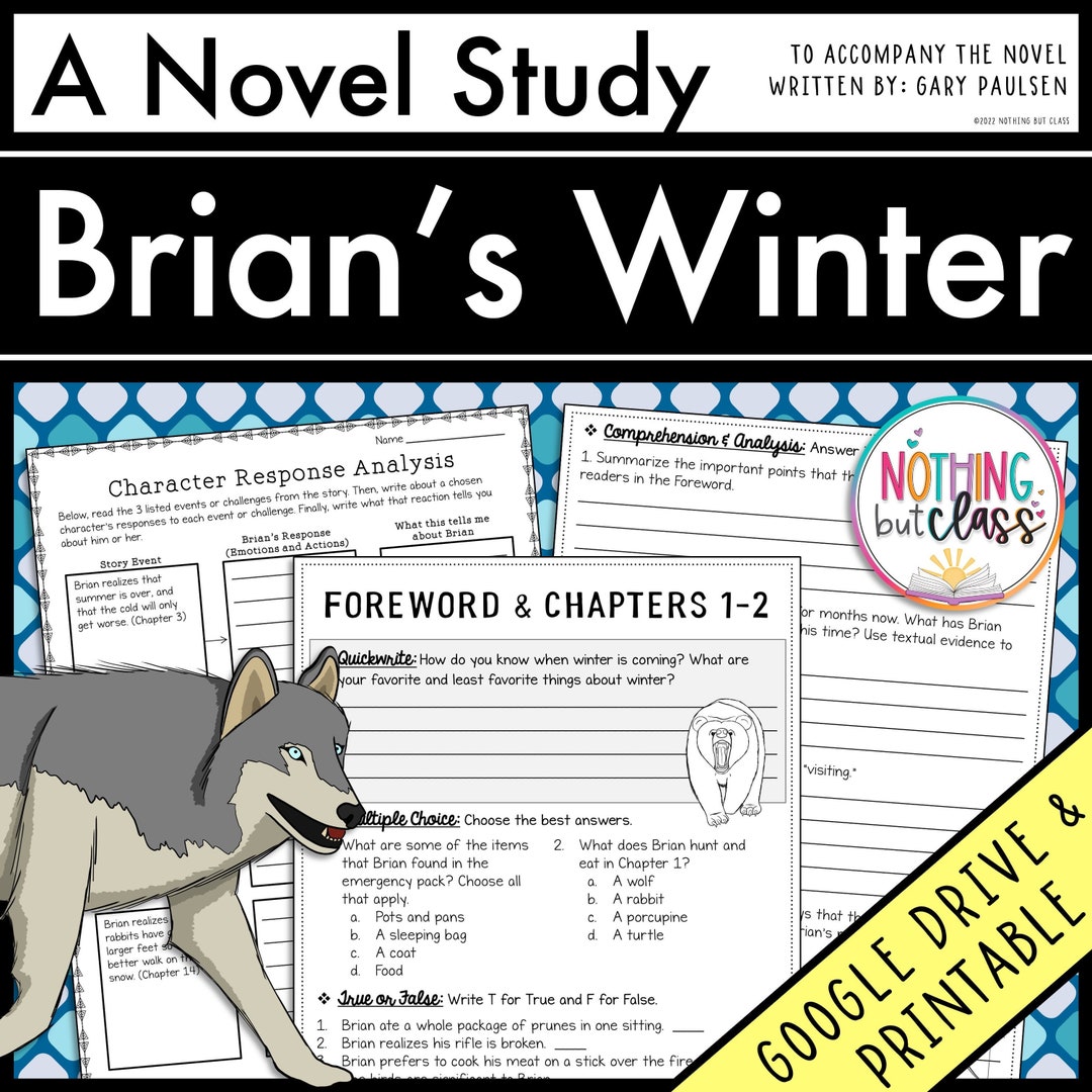 Brian's Winter Novel Study Unit | Literature Guide | Comprehension ...