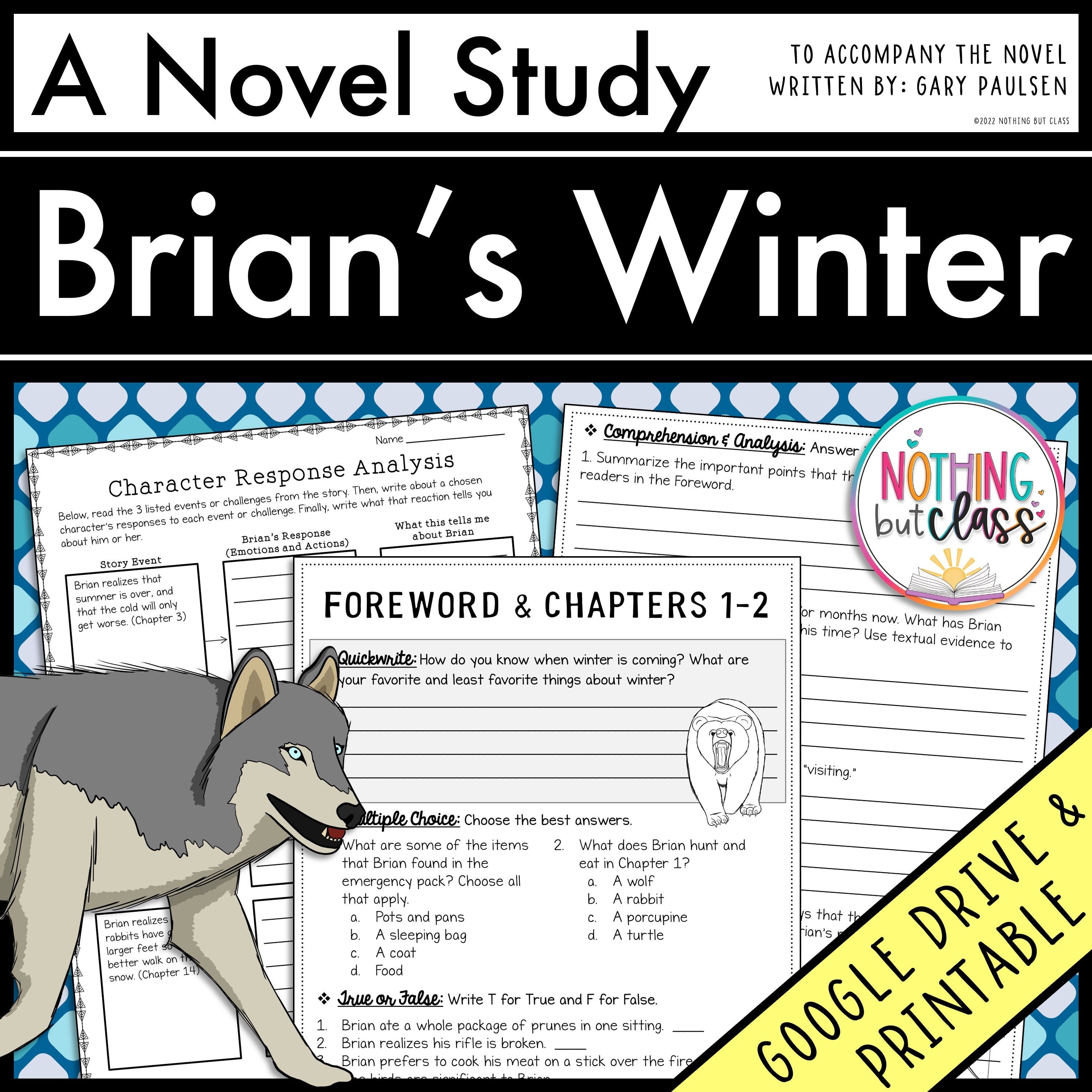 Brian's Winter Novel Study Unit | Literature Guide | Comprehension ...