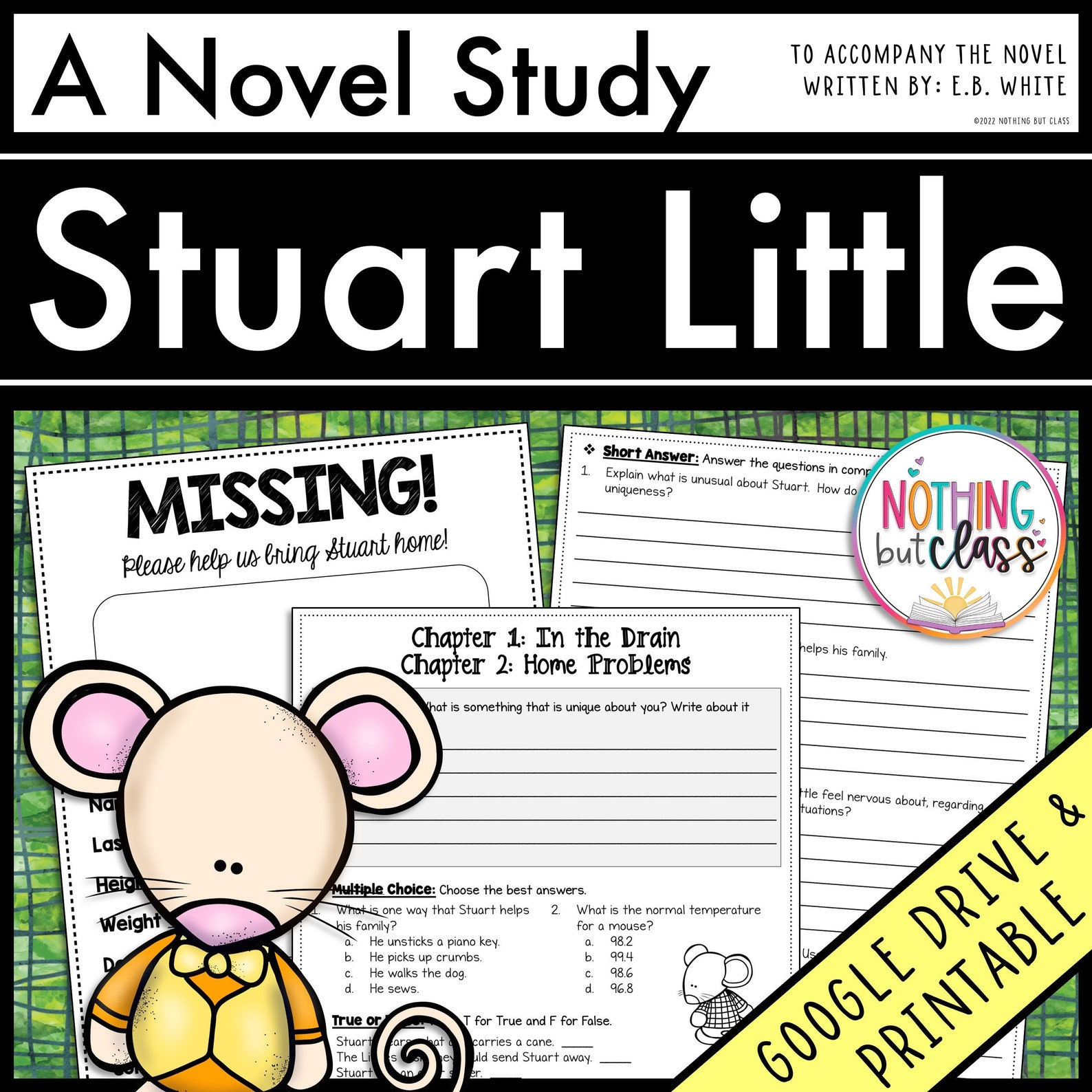 Stuart Little Novel Study Unit | Literature Guide | Comprehension ...