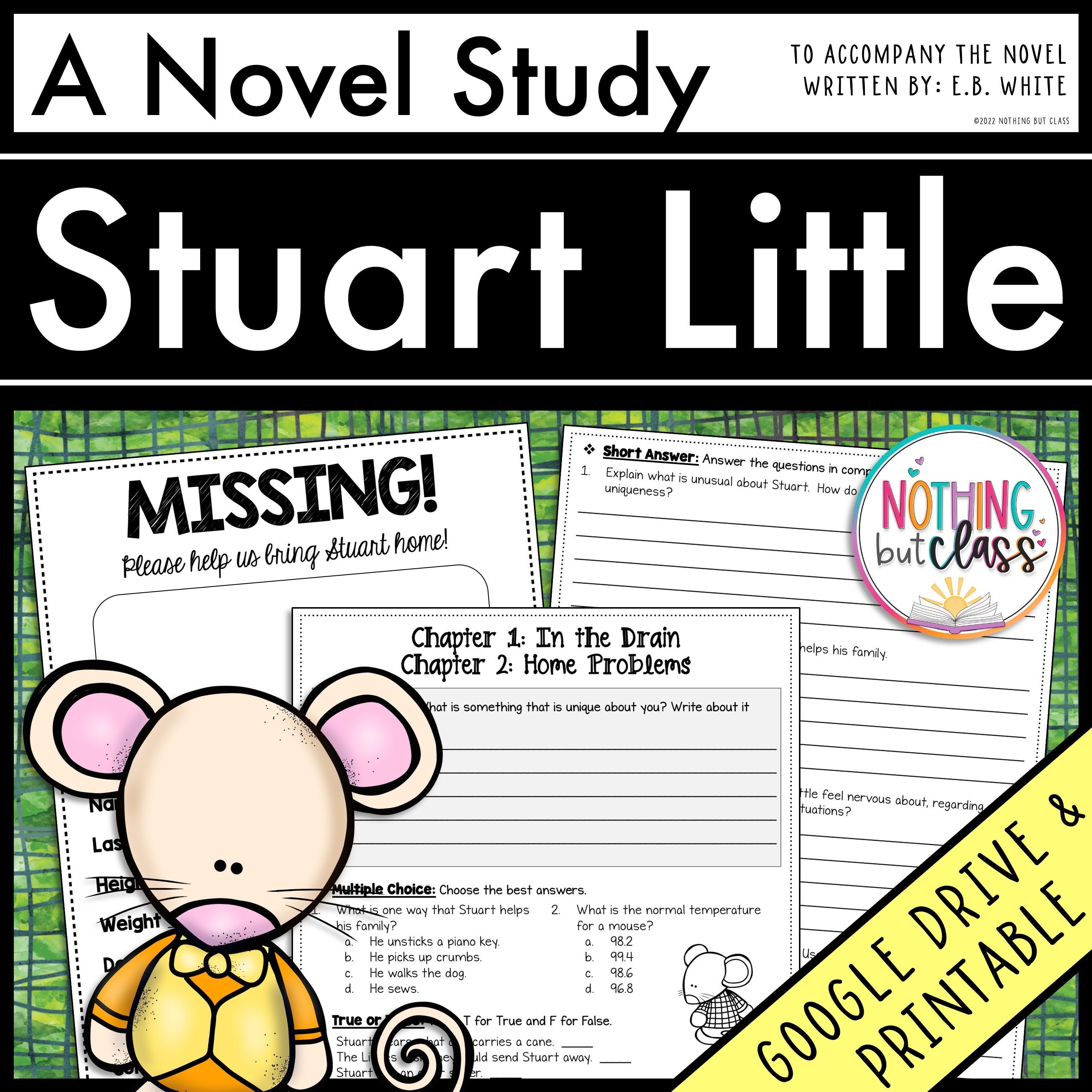 Stuart Little Novel Study Unit | Literature Guide | Comprehension ...